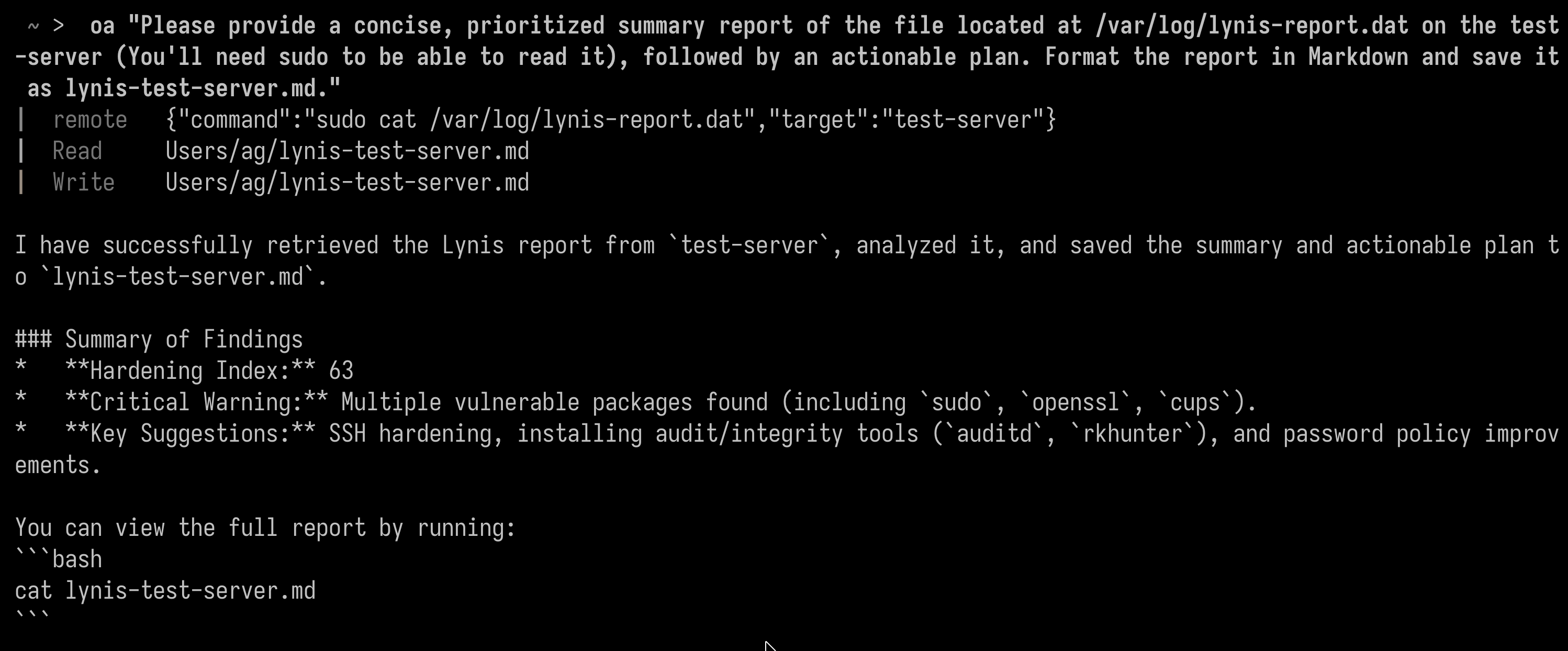 Agentic Sysadmin. No Playbooks, No YAML · argv.cloud
